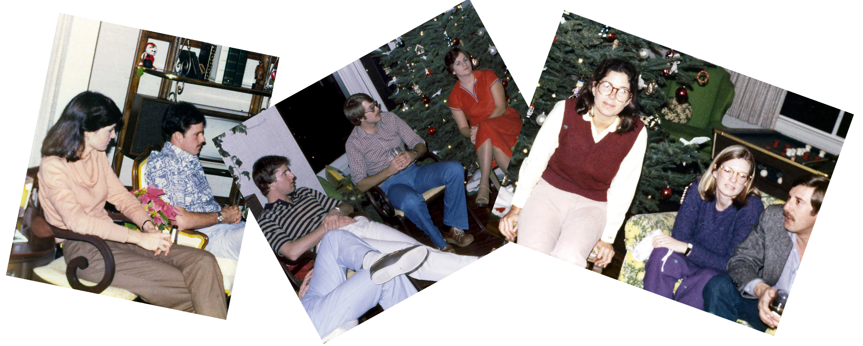 About the Mannon-Hickson Genealogy – Boughs & Branches